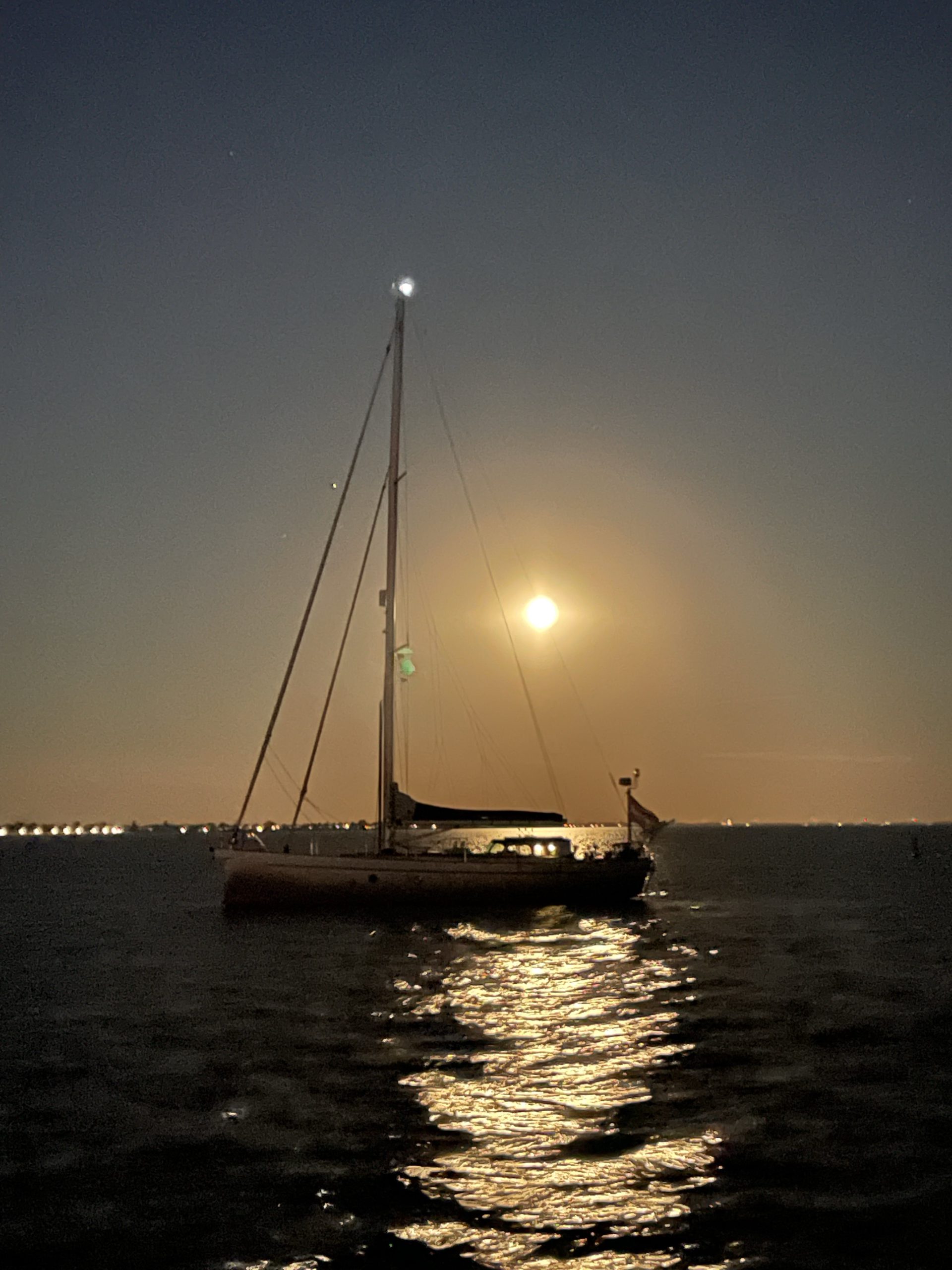 BELUGA | Onze Zeilreis